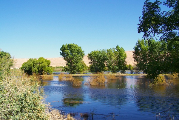 Nevada Department of Wildlife - US eDirect Reservation System